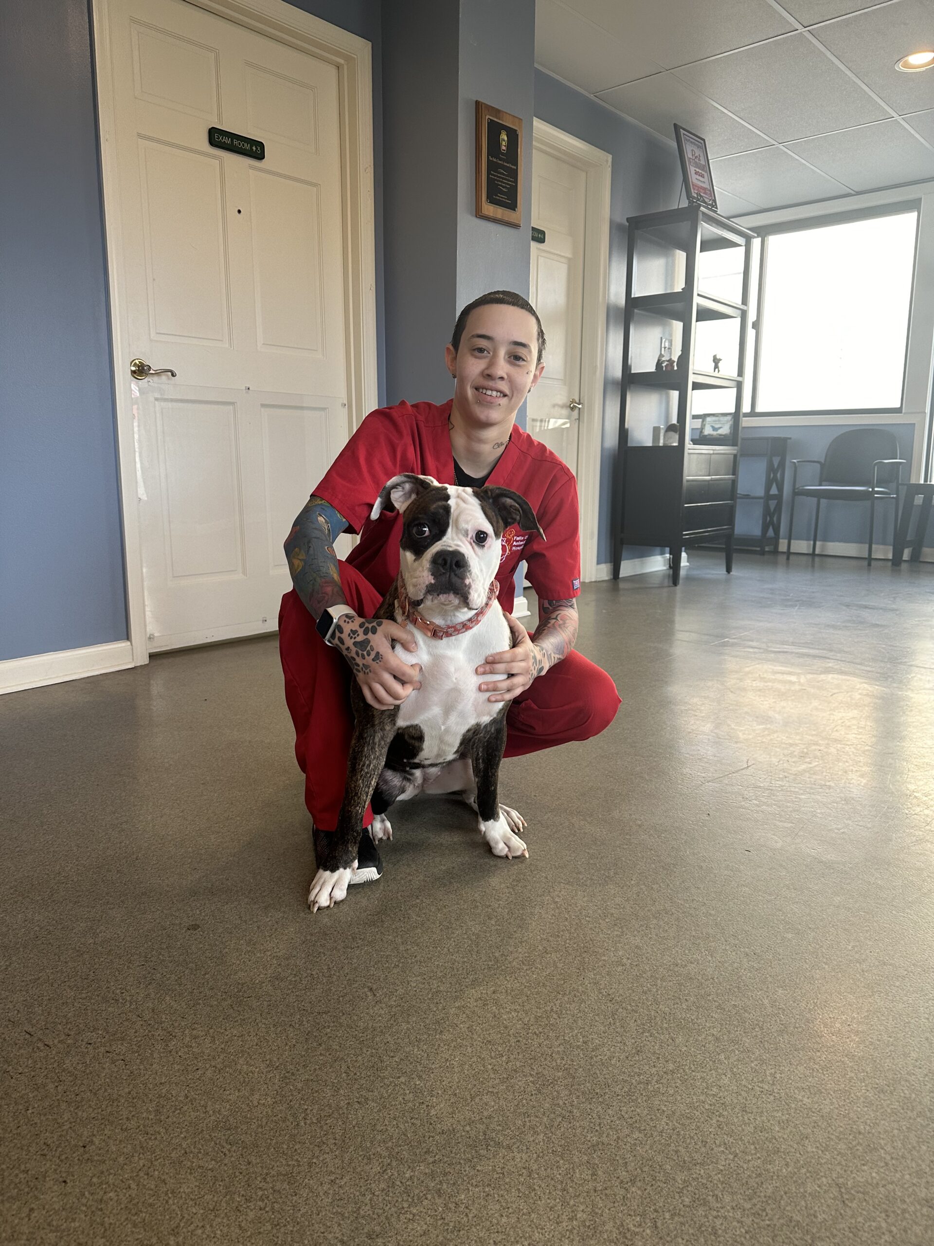 Meet the Team at Falls Church Animal Hospital