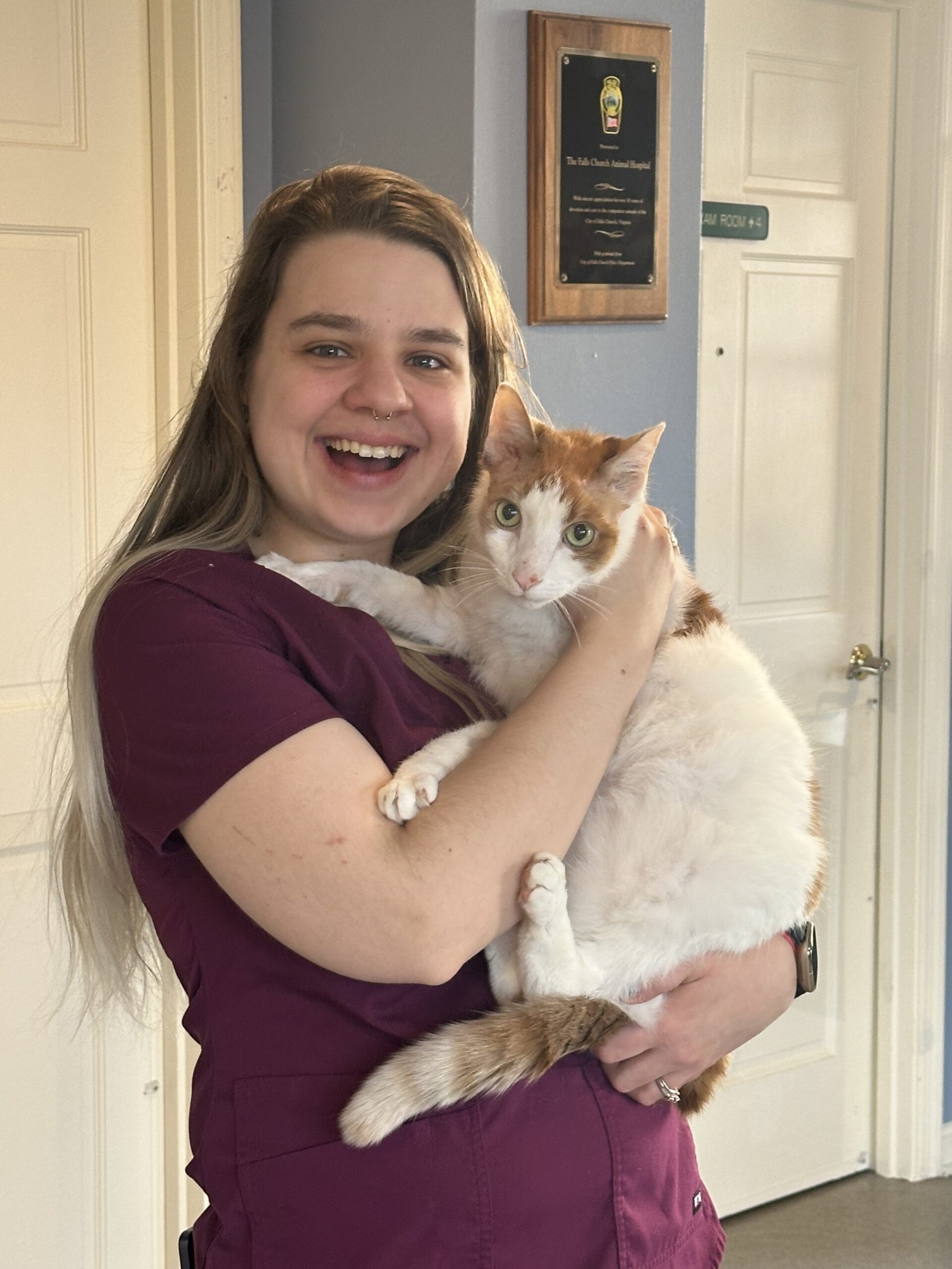 Meet the Team at Falls Church Animal Hospital