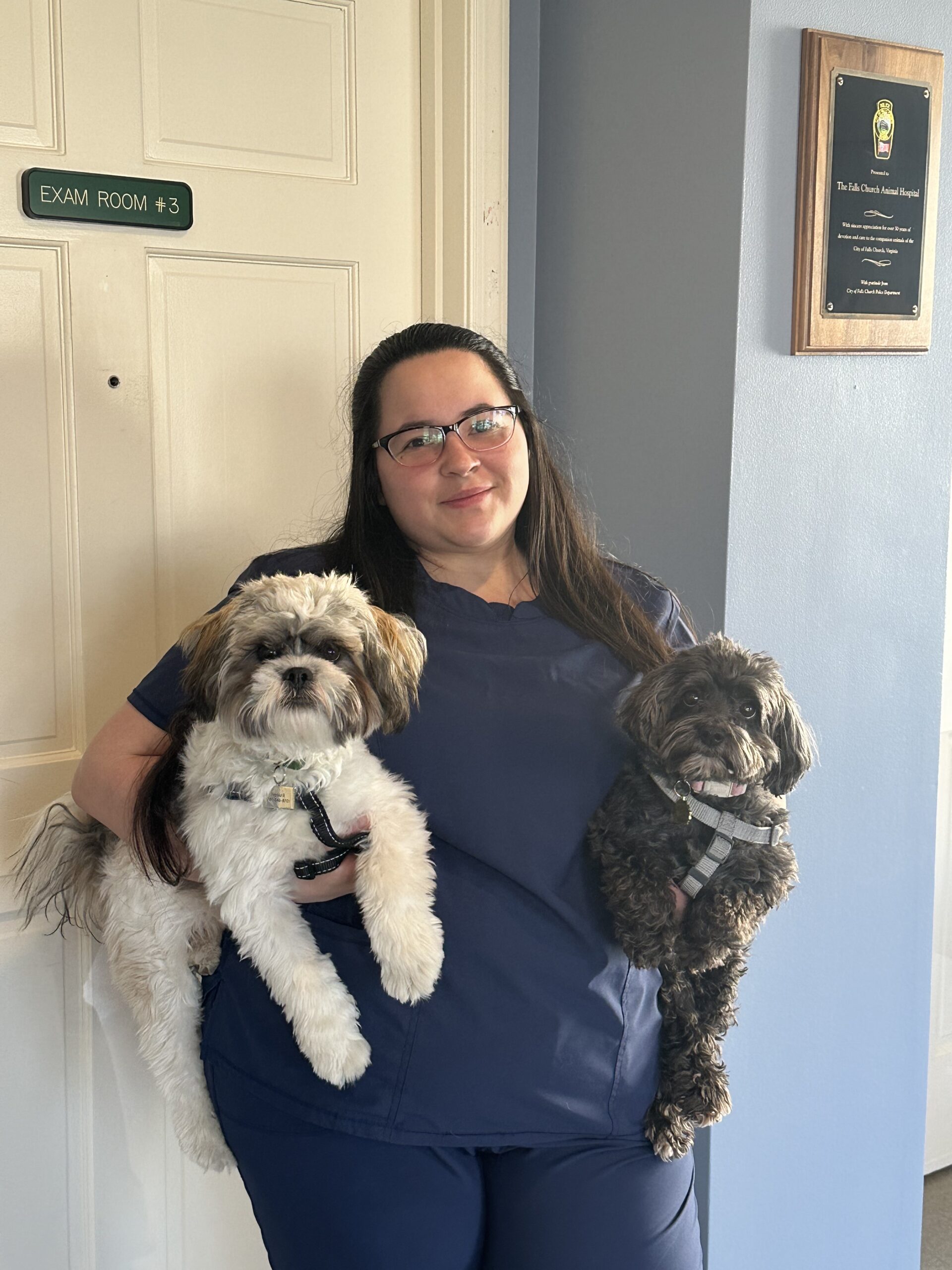 Meet the Team at Falls Church Animal Hospital